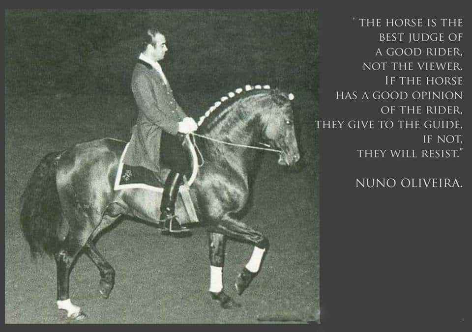 Book Review: Reflections on Equestrian Art by Nuno Oliveira - Anna Blake