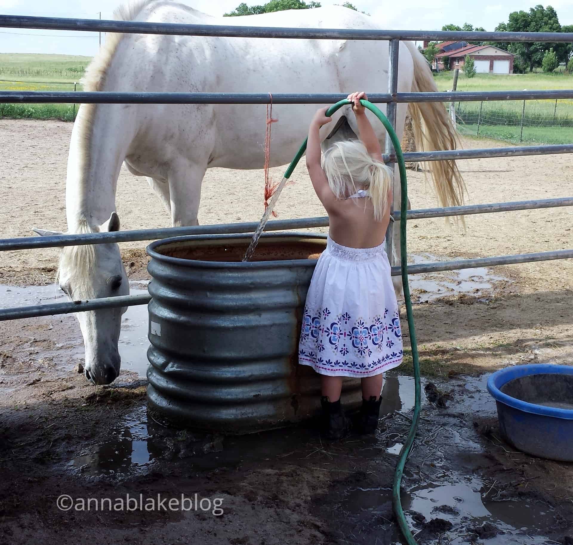 Photo & Poem: Her Place - Anna Blake