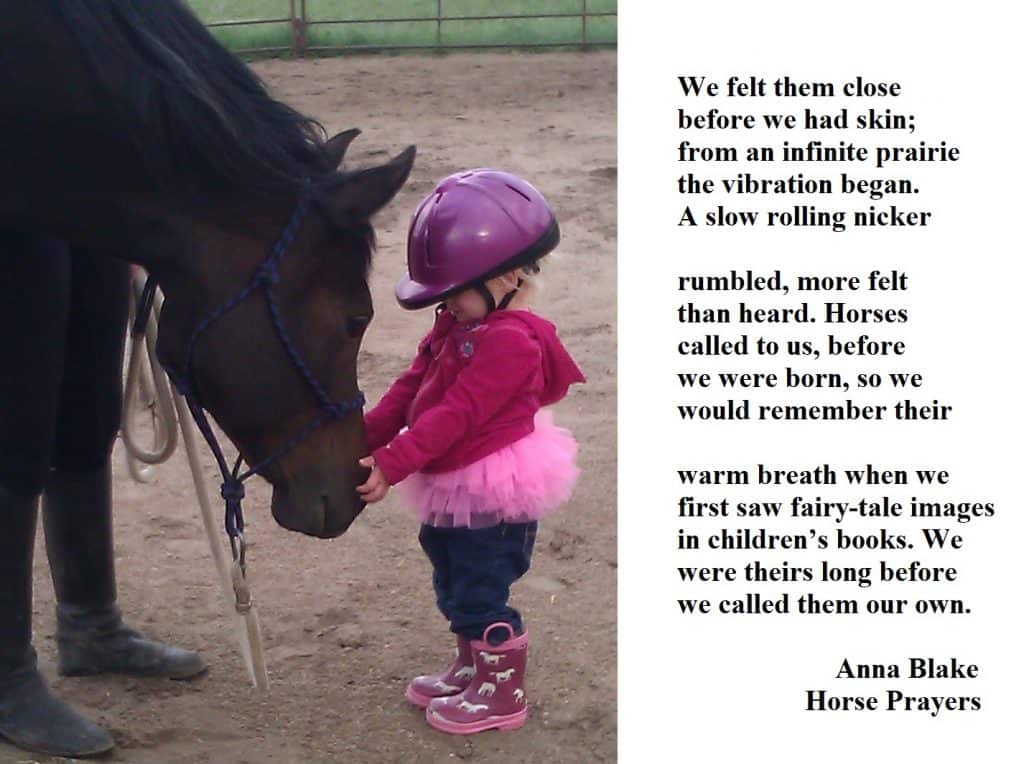 Horse Prayers. Available. No, Really. - Anna Blake